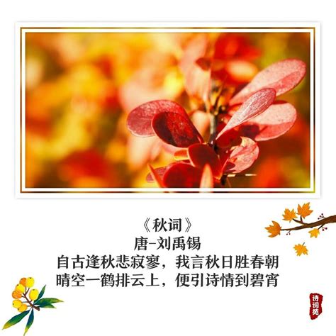 诗词盘点古诗词里的秋天