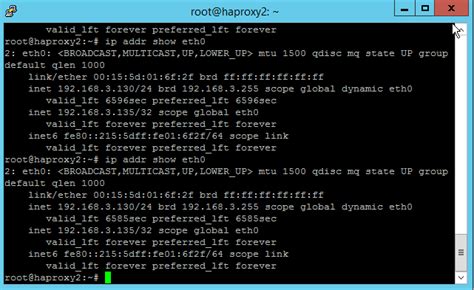 setup haproxy 2 with keepalived and layer 7 retries ssltrust