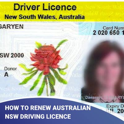 How To Renew Australian NSW Driving License In