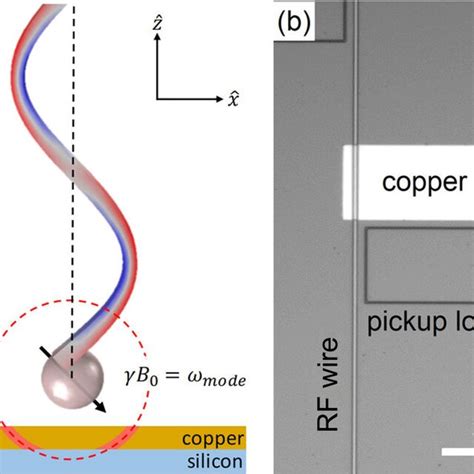 A Schematic Of The Measurement Setup An Rf Wire Is Used To Generate Download Scientific