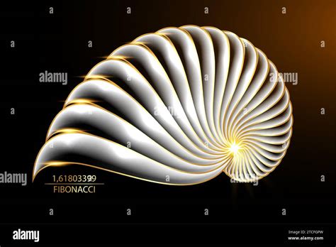 3d Fibonacci Sequence Golden Ratio Geometric Shapes Spiral Snail