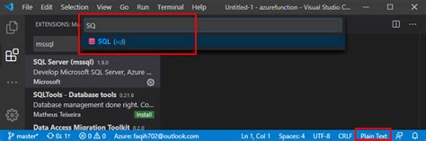 Visual Studio Winforms Connection String On Install Dropic