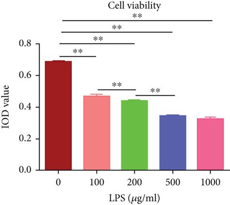Bmsc Exo Inhibits Npc Apoptosis By Promoting Autophagy A The