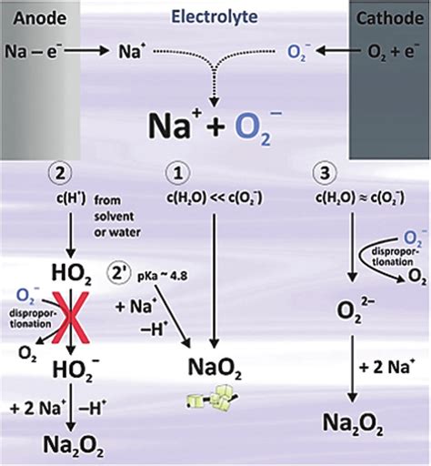 Suggested Reaction Pathways For The Formation Of Sodium Superoxide And