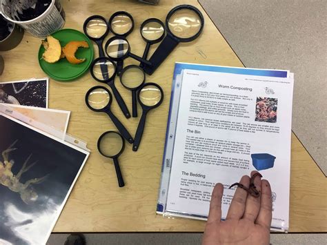 Vermicomposting Workshop Natures Ride