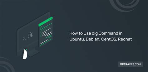 Use Dig Command For Dns Troubleshooting In Linux