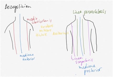 testat 1 karteikarten quizlet