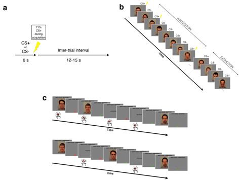 Schematic Representation Of The Experimental Procedures A Download Scientific Diagram