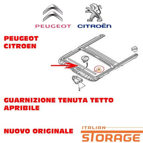 8401y4 8401y4 Peugeot Citroen Guarnizione Tenuta Tetto Apribile Nuovo