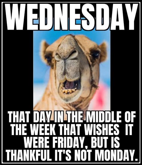 Just Dragging Trough The Week Renglishforlearning