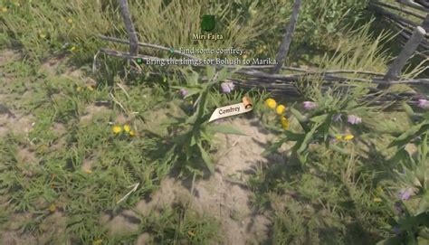 Where To Find Comfrey In Kcd2 Kingdom Come Deliverance 2 Guide