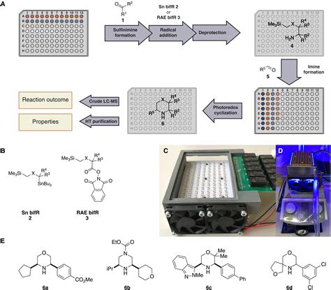 High Throughput Synthesis Provides Data For Predicting Molecular