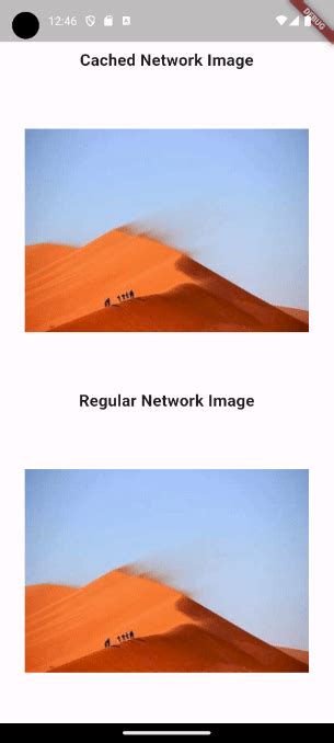 How To Cache Network Images In Flutter OnlyFlutter