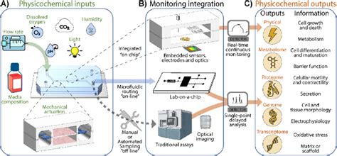 A Examples Of Different Physicochemical Inputs B Classification Of Download Scientific