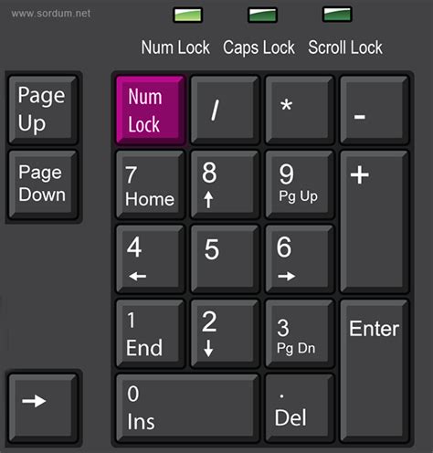 Как включить Num Lock при запуске Windows полезные советы и рекомендации Инструкции по Как включить Num Lock при запуске Windows полезные советы и рекомендации Инструкции по
