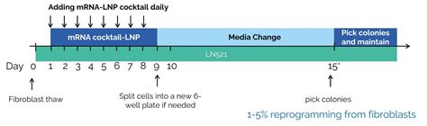 Ipsc Reprogramming Cocktail Ubrigene