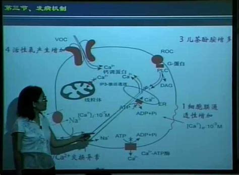 21 缺血 再灌注损伤2病理生理学 高清1080p在线观看平台 腾讯视频