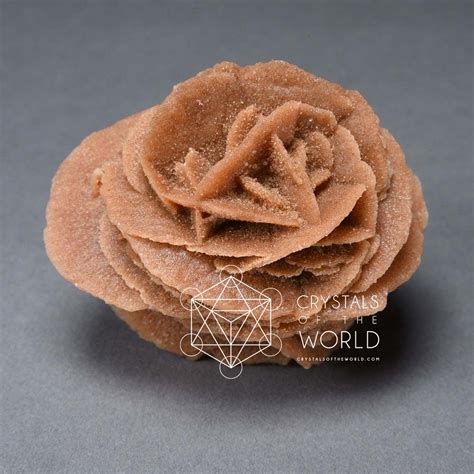 What Is A Desert Rose Rock At Toby Noskowski Blog