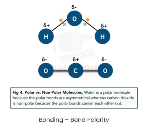 Bond Polarity Exam Corner