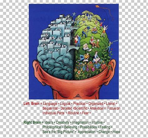 Human Brain Human Body Brain Neurons Right Brain Human Behavior