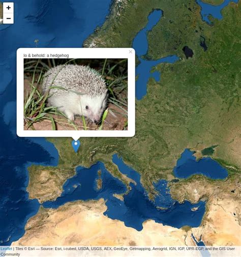 Add Different Pictures To Each Markers In The Leaflet Package Map Application General