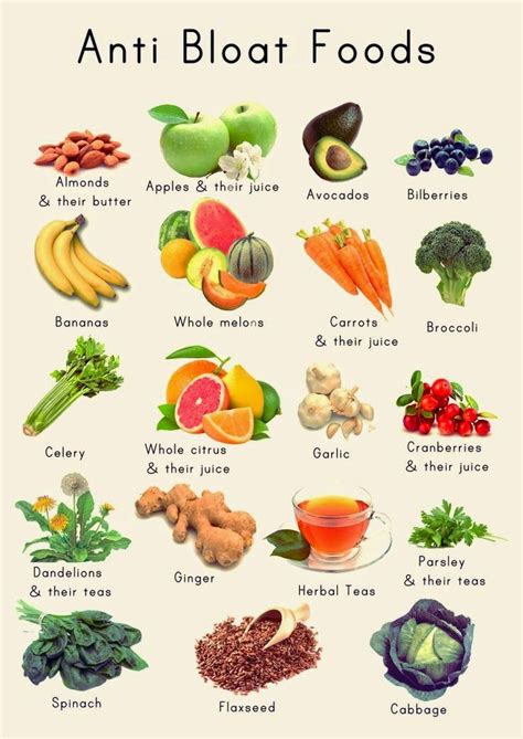25 Bästa Home Remedies For Bloating Idéerna På Pinterest Hälsa
