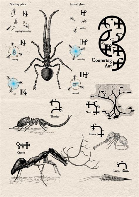 Codex Inversus The Conjuring Ants A Species Of Spell Casting Insects