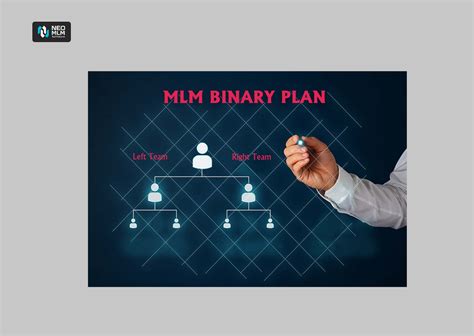 Binary Plan Mlm Software Binary Compensation Plan Demo