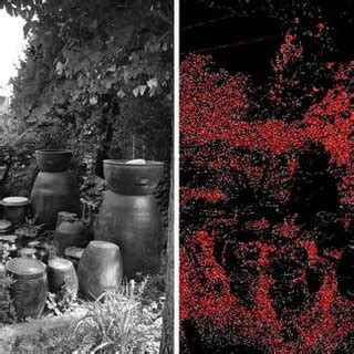 Effect Of Edges And Line Segment Detection Left Original Right Download Scientific Diagram