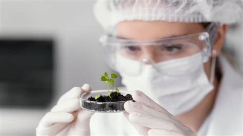 What Are Soil Testing Components Qualitasme