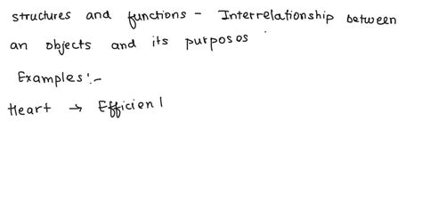 Solved Texts Define And Describe The Purpose Of The Three Basic