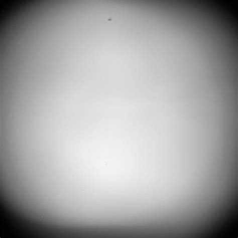 Tech Note Flatfield Correction In Light Sheet Fluorescence Microscopy Bruker