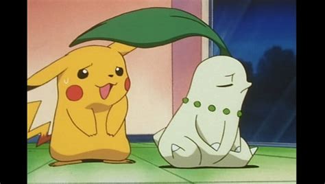Chikorita Pokédex