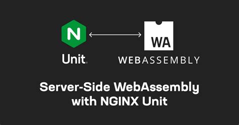 借助 Nginx Unit 在服务器端使用 Webassemblywebnginx开源社区infoq写作社区