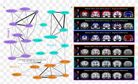 Clustering Of The Autism Models Clustering Of The Models Circle