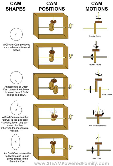 Build A Bird Automaton Simple Machines STEM Project