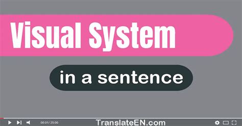 Visual System In A Sentence
