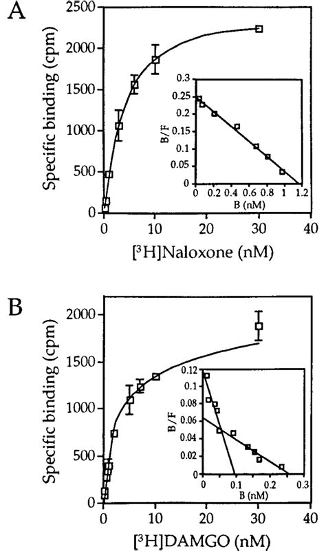 Binding Of Opioid Receptor Ligands Saturation Binding Experiments