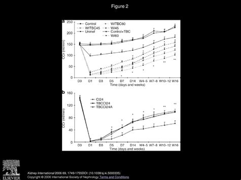 Volume 69 Issue 10 Pages May 2006 Ppt Download