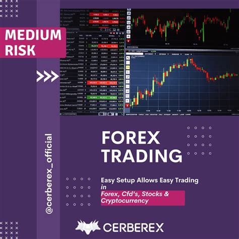 Cerberex Ai Algo Trading For Beginners A Comprehensive Guide