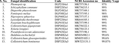 Fungal Endophytes Identified Based On Molecular Characteristics Download Scientific Diagram