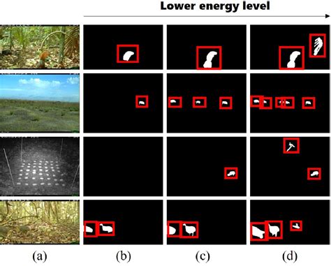 Towards Real Time Object Detection On Edge With Deep Neural Networks Semantic Scholar
