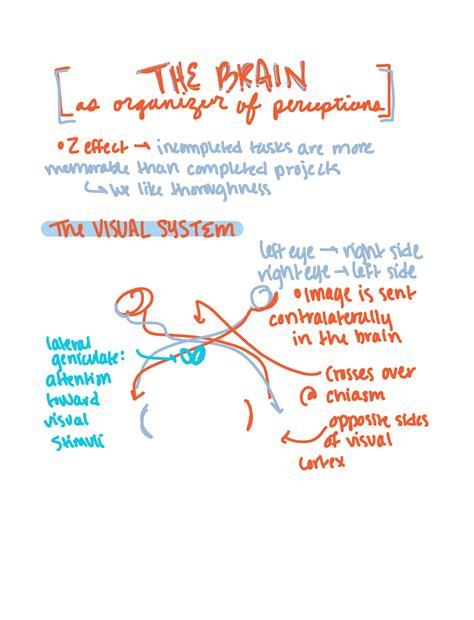 Exploring Connections Between Sensation Perception And Psychological Responses F The