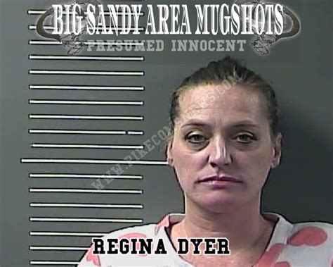 Regina Dyer Big Sandy Area Mugshots News