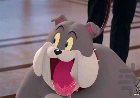 دانلود برنامه کارتون تام و جری اندروید بازار