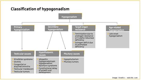 Male Hypogonadism What Are Its Causes Symptoms And Treatments