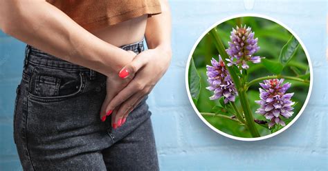 Лечебна билка помага при поликистозни яйчници Biotica Bg