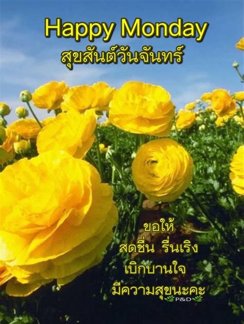 สวัสดีวันจันทร์🌼🌻 ดอกไม้ สวัสดีตอนเช้า อรุณสวัสดิ์ 