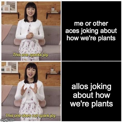 Queer Memes — [id The Marie Kondo Meme The First Panel Shows