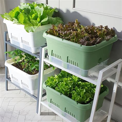 모든집 집에서 무농약 상추 대형 텃밭 상자 베란다 홈가든 대파 토마토 수경 재배 화분 위시버킷